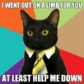 Go Out On a Limb - Meaning, Origin and Usage - English-Grammar-Lessons.com