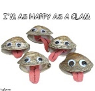 Happy as a Clam - Meaning, Origin and Usage - English-Grammar-Lessons.com