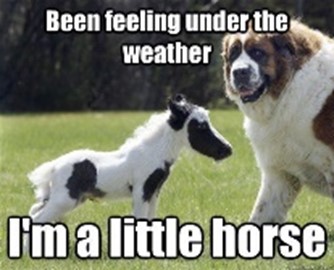 Under the Weather - Meaning, Origin and Usage - English-Grammar-Lessons.com