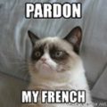 Pardon my French - Meaning, Origin and Usage - English-Grammar-Lessons.com