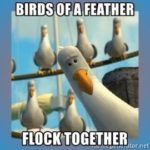 Birds of a Feather Flock Together – Meaning, Origin and Usage - English ...