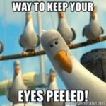 Keep Your Eyes Peeled – Meaning, Origin and Usage - English-Grammar ...