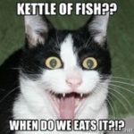 Kettle of Fish – Meaning, Origin and Usage - English-Grammar-Lessons.com