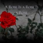 A Rose is a Rose is a Rose – Meaning, Origin and Usage - English ...