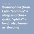 Somno – Meaning, Origin and Usage - English-Grammar-Lessons.com