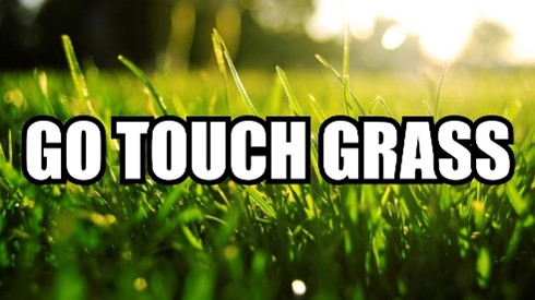 Touch Grass – Meaning, Origin and Usage - English-Grammar-Lessons.com