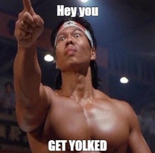 Yolked – Meaning, Origin and Usage - English-Grammar-Lessons.com