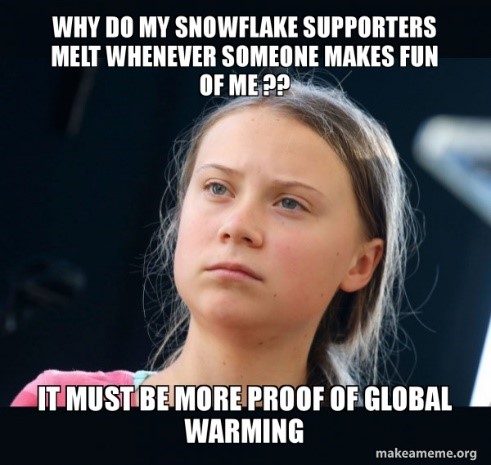 Snowflake – Meaning, Origin and Usage - English-Grammar-Lessons.com