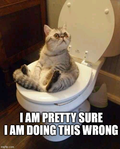 WC Meaning Origin And Usage English Grammar Lessons WC Meaning Origin And Usage English Grammar Lessons