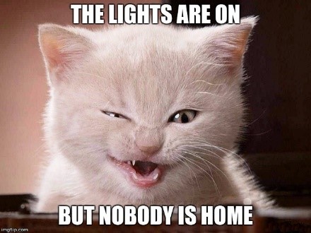 Lights are on but Nobody's Home – Meaning, Origin and Usage - English ...