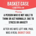 Basket Case – Meaning, Origin and Usage - English-Grammar-Lessons.com